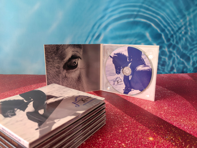 china popular 4panel cd replication digitray package